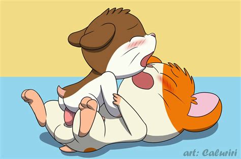 Post 5255834 Caluriri Hamtaro Hamtaro Character