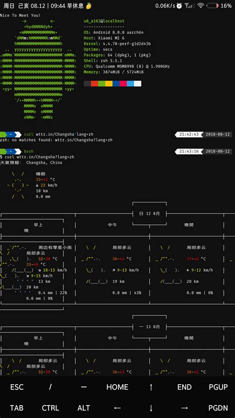 Zsh No Matches Found On Curl Url · Issue 7058 · Ohmyzshohmyzsh · Github