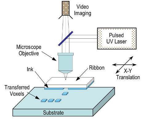 Schematic Diagram Showing The Basic Components Of The Laser