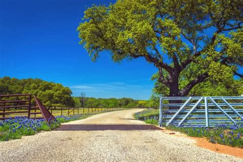 The Top Most Beautiful Places In Texas Worth Visiting Travelistia