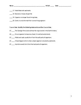 Fossil Quiz By Science With Mrs Scott Teachers Pay Teachers