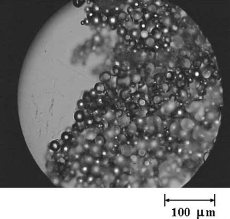 Synthesis And Characterization Of Amphiphilic Biodegradable Copolymer Polyaspartic Acid‐co