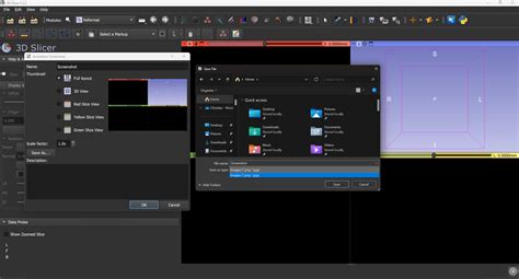 Capturing A Screenshot In Uncompressed TIFF Format Support D Slicer Community