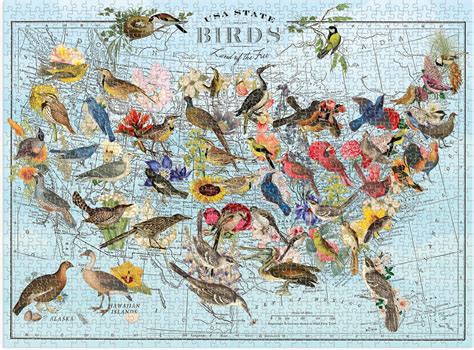Cindy Derosier My Creative Life State Birds Puzzle And Thoughts About