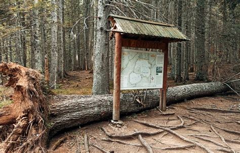 Exploring Montenegros Unesco World Heritage Sites Durmitor National Park