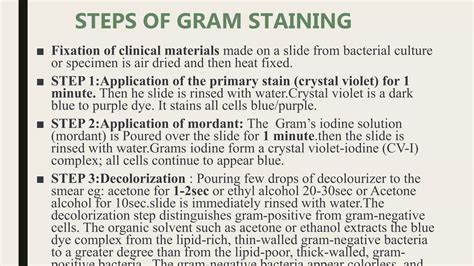 Smear Prep And Gram Staining Newpptx