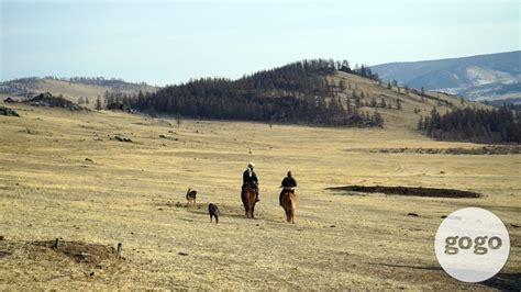 Сар шинийн бэлтгэл малчны хотонд