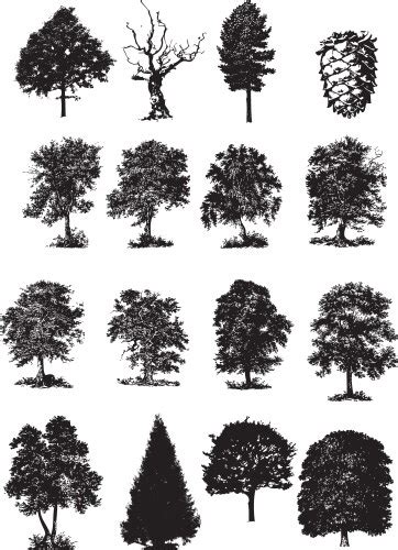 Trees Vector Images Over 1 4 Million