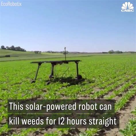 This Weed Killing Artificial Intelligence Robot Uses Less Herbicide And May Disrupt A