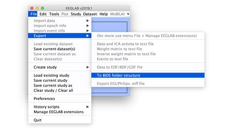4 Exporting To Bids Eeglab Wiki