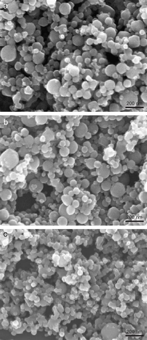 Sem Images Showing Morphologies Of The Tio 2 Powders Synthesized A Download Scientific
