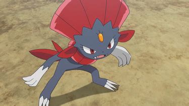 Weavile Pokémon Bulbapedia The Community Driven Pokémon Encyclopedia