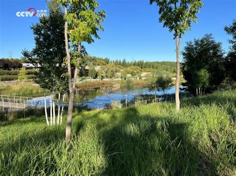 Хаягдсан уурхайд түшиглэн Монгол соёлын жуулчлалын бүс байгуулжээ Niislel Times