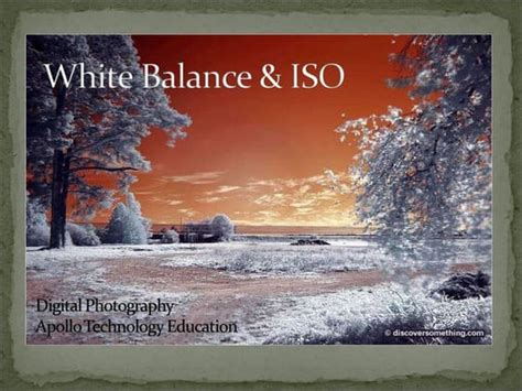 White Balance Task Ppt