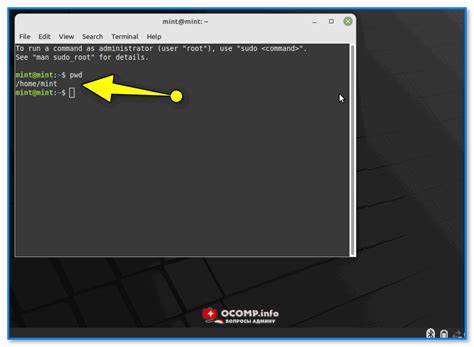 Команды Linux для начинающих знакомство с терминалом на примере Mint Ubuntu Debian