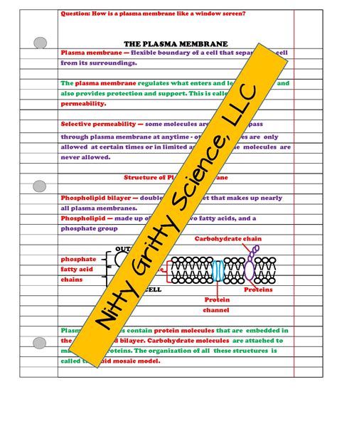 Prokaryotic Cell Structure Ppt