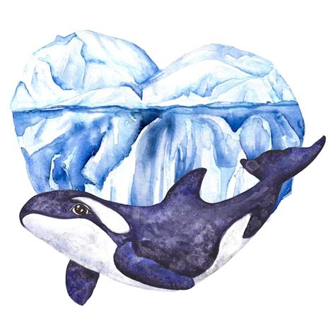 Premium Photo Watercolor Illustration Arctic Composition Killer Whale