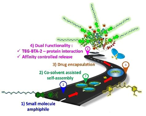 Dual Functional Microcapsule Based On Monodisperse Short Peg Amphiphile