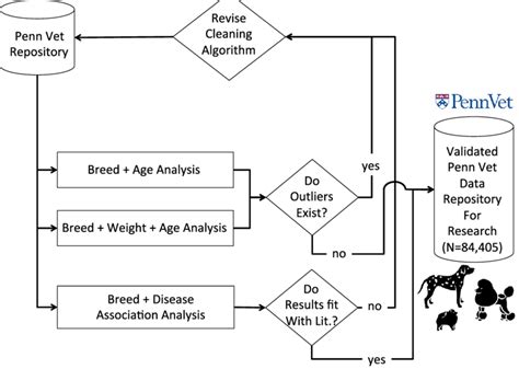 Schematic Diagram Illustrating The Validation And Iterative Refinement