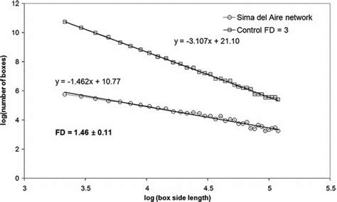 Log Log Representation Of The Spatial Disposition Of Conduits Using The