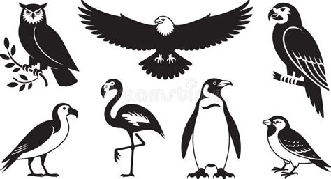Monochrome Bird Species Icons Set Featuring Owl Eagle Parrot Seagull