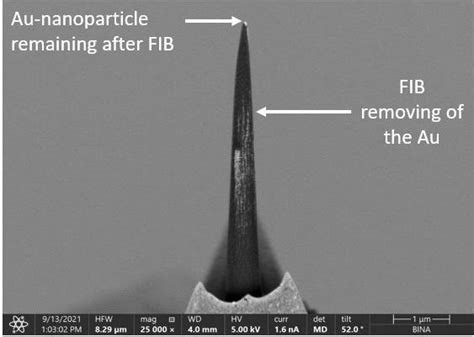 sem micrographs of the commercial afm probes before and after