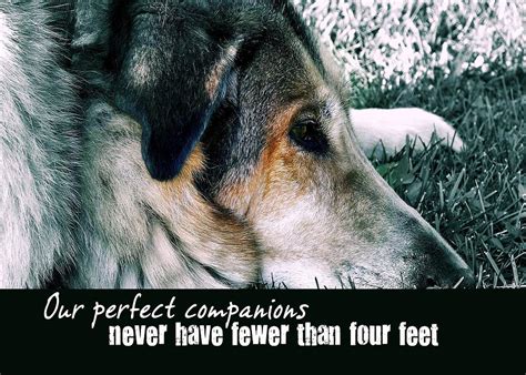 Lazy Afternoon Quotes Quotesgram