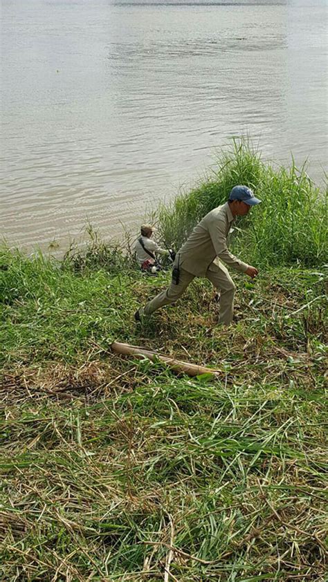 អាជ្ញាធរខណ្ឌដូនពេញចុះសម្អាតច្រាំងទន្លេ នគរដ្រេហ្គន