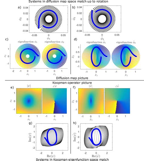 Diffusion Map Picture A D The Left Column Shows The Original Limit Download Scientific