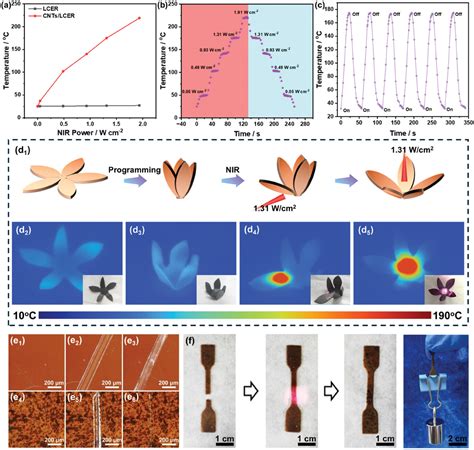 Highly Thermally Conductive Liquid Crystalline Epoxy Resin Vitrimers