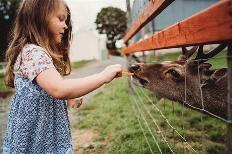 This Is Cavan Killinkere Visitor Farm Will Welcome