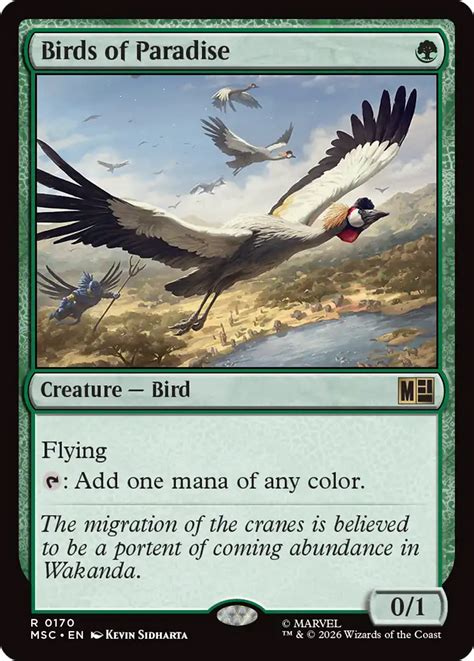 Birds Of Paradise Mtg Proxy Card Proxy Printers