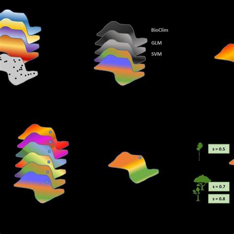 Steps For Species Distribution Modeling And For Predicting Community