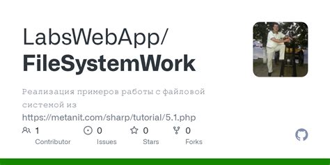 GitHub LabsWebApp FileSystemWork Реализация примеров работы с файловой системой из https