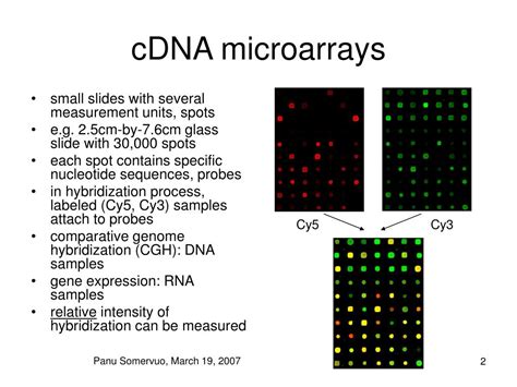 ppt cdna microarrays powerpoint presentation free download id 318298