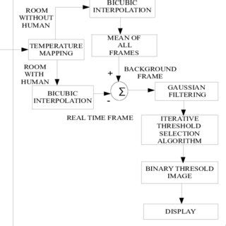 Detection Of A Human Present At Stationary Position Ambient Download Scientific Diagram