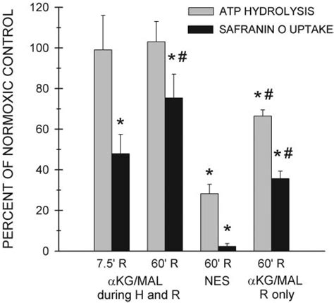 Oligomycin Sensitive Atp Hydrolysis Versus Mitochondrial Energization Download Scientific