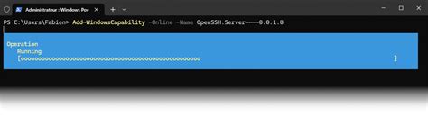 Installer Et Se Connecter à Une Machine Windows Avec Openssh • Flozz Blog