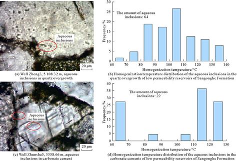 Homogenization Temperature Distribution Of The Aqueous Inclusions In