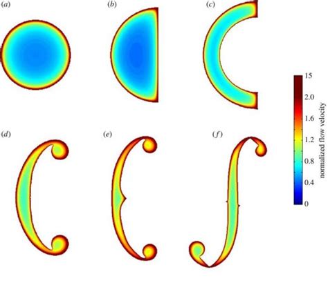 The Lost History Behind Violins And Their F Shaped Holes Routenote Blog