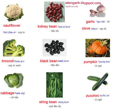 Học từ vựng bằng hình ảnh Vegetables Rau củ quả