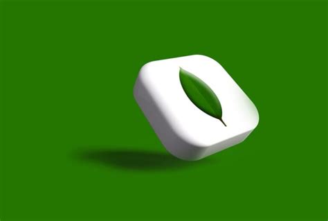 Introduction à Mongodb Quest Ce Que Cest Et Pourquoi Lutiliser