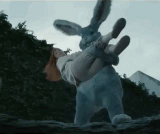 Rabbit Hole GIFs GIFDB Com
