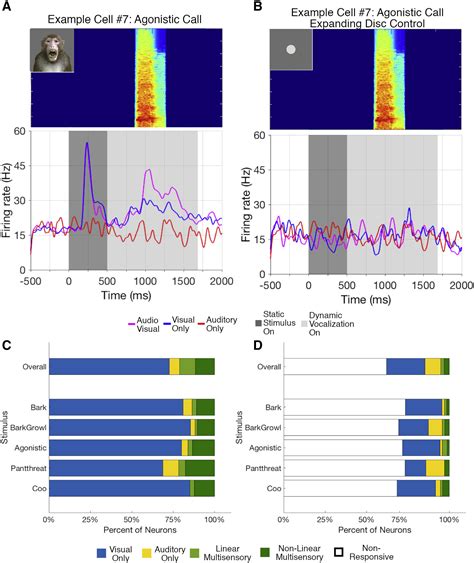 Audiovisual Integration In Macaque Face Patch Neurons Current Biology
