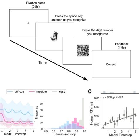 Human Recognition Experiment And Results A Overview Of The Behavioral Human Recognition Experiment And Results A Overview Of The Behavioral