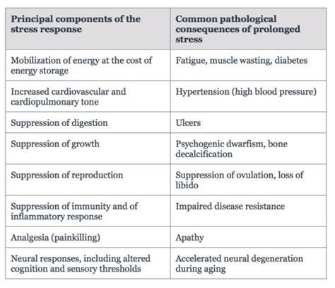 Brain And Behaviour Lecture 4 Flashcards Quizlet