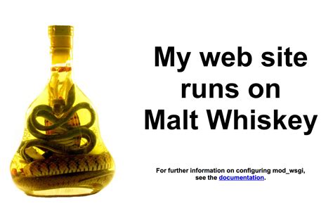 running flask on macos with mod wsgi wsgi express david hamann