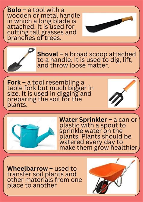 Week 5 Module 5 Propagation Of Trees In 2023 Farm Tools And Equipment