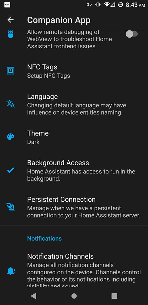 persistent connection setting missing home assistant companion for