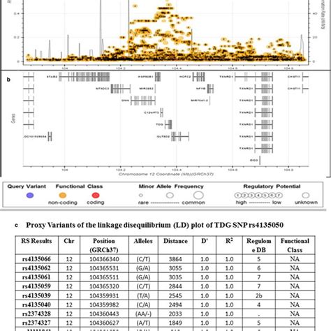 Linkage Disequilibrium Ld Plot Generated By Using Interactivity